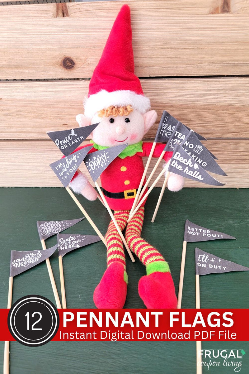 All-in-One Elf Prop Bundle – Frugal Coupon Living